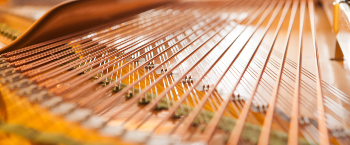 Discovering the Essential Elements Of The Piano: Parts and Structure ...