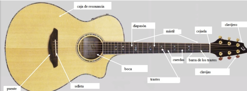 Parte Trasera Del Clavijero De La Guitarra