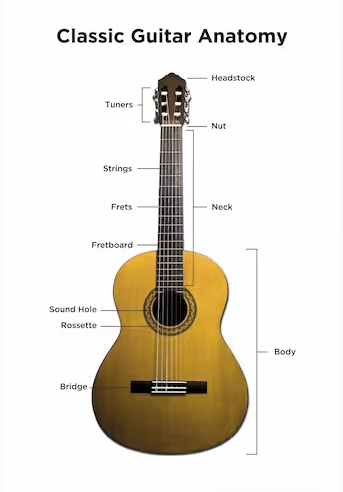 The Structure And Parts Of A Guitar - Royal School of Music The ...